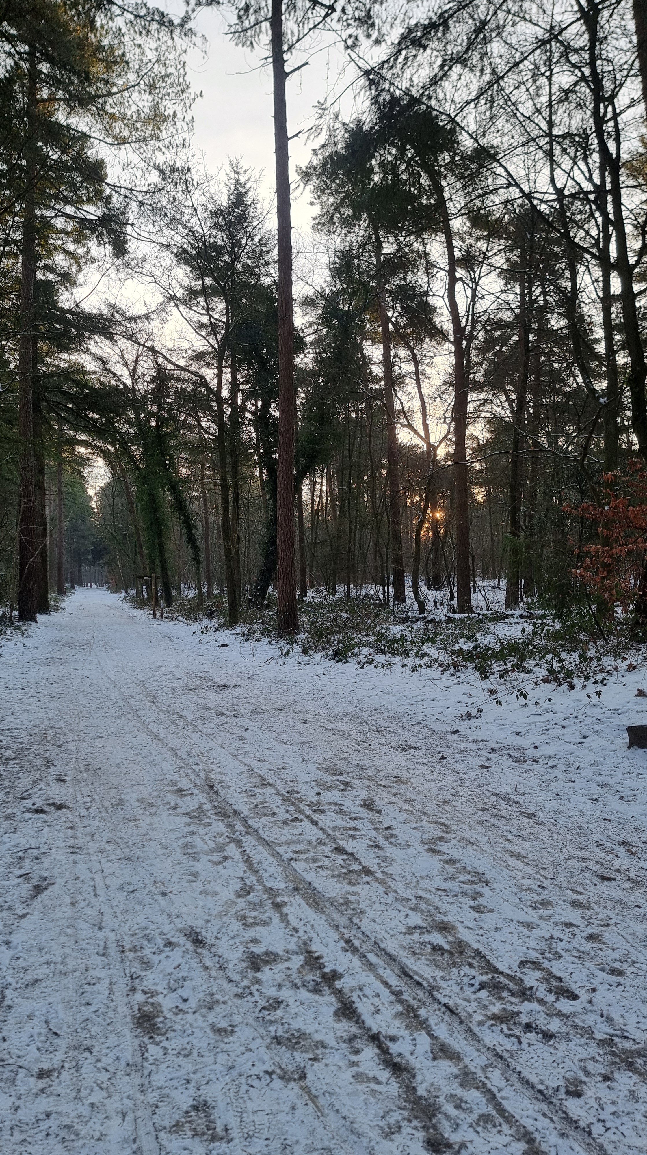 Pathway – Journeys in Writing